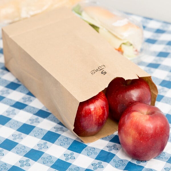 Duro 5 lb. Brown Paper Bag - 500/Bundle