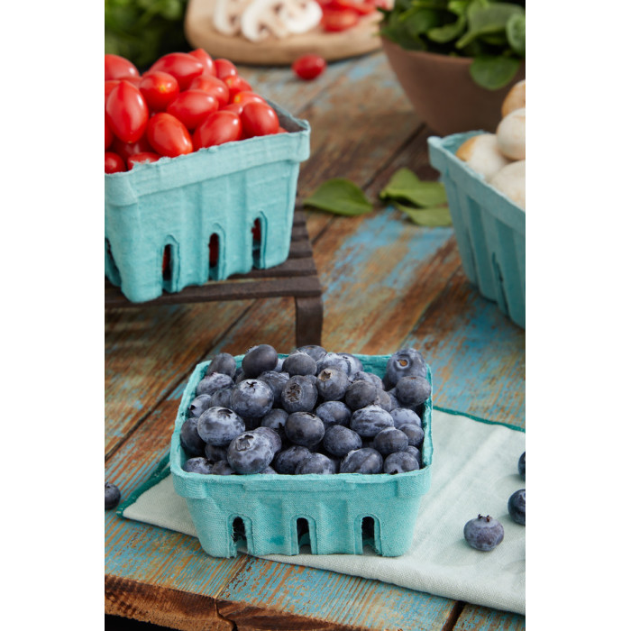 Pactiv 1/2 Pint Green Molded Pulp Berry / Produce Basket